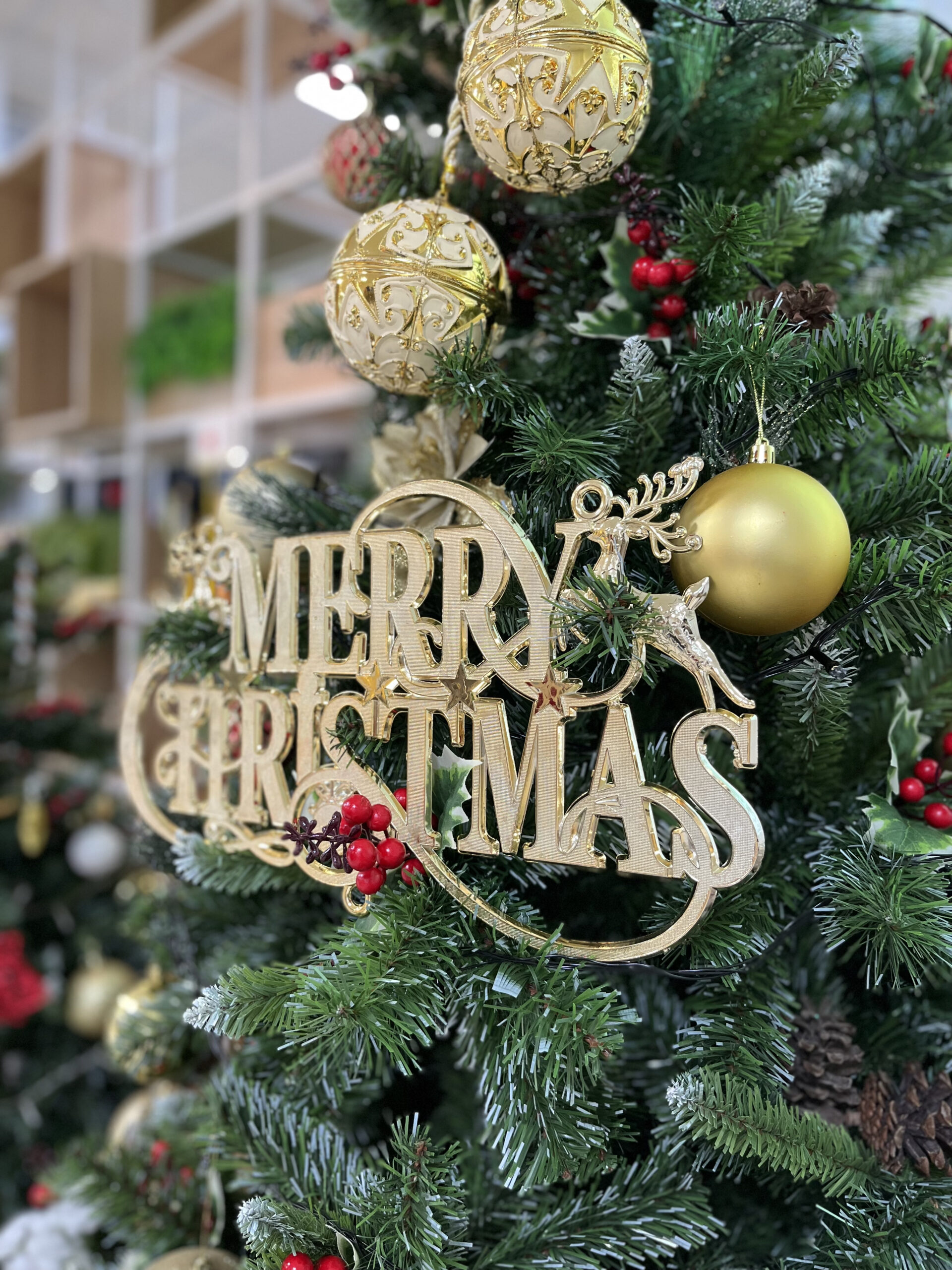 CHRISTMAS IN CodeComplete 2021 - CodeComplete